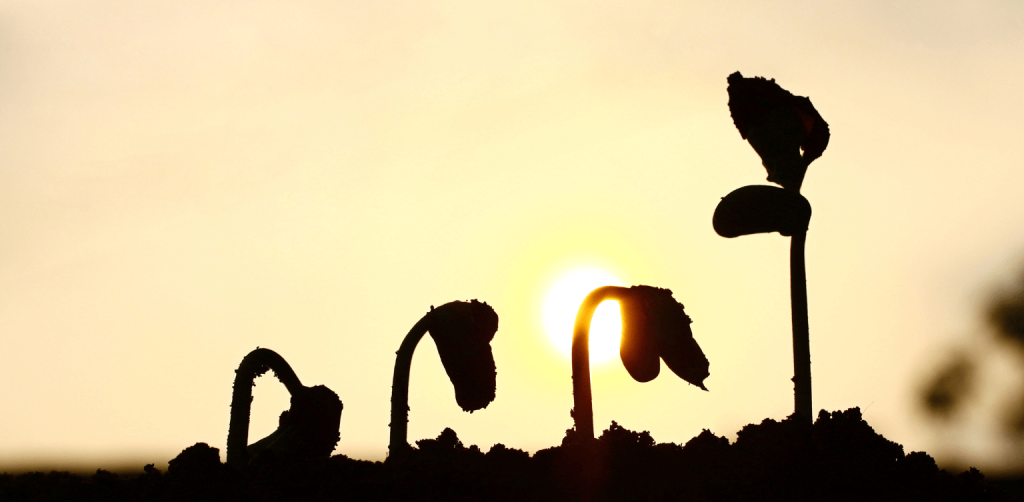 The Power of Humility in Leadership: A Guide to Better Outcomes for ...